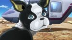Top 34 Most Loved Anime Dog Characters - Animesoulking